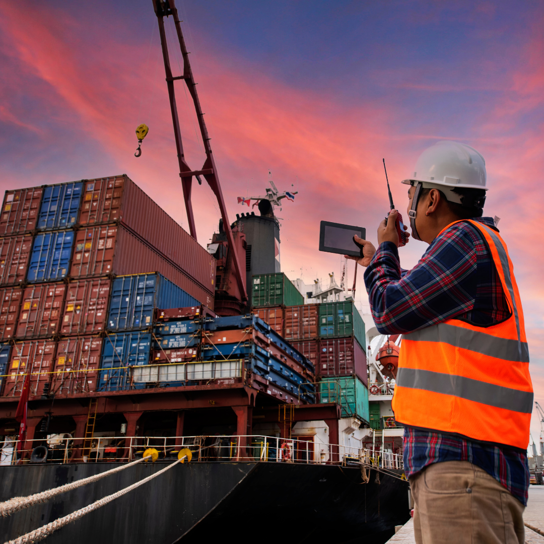 Sea Freight - Beyond Cargo